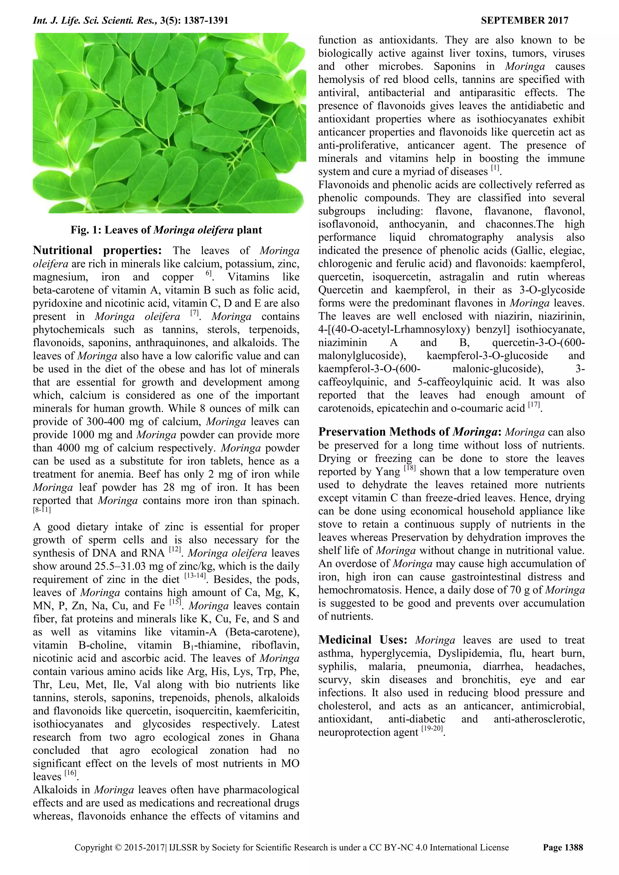 Phytonutrient and Pharmacological Significance of Moringa oleifera | PDF