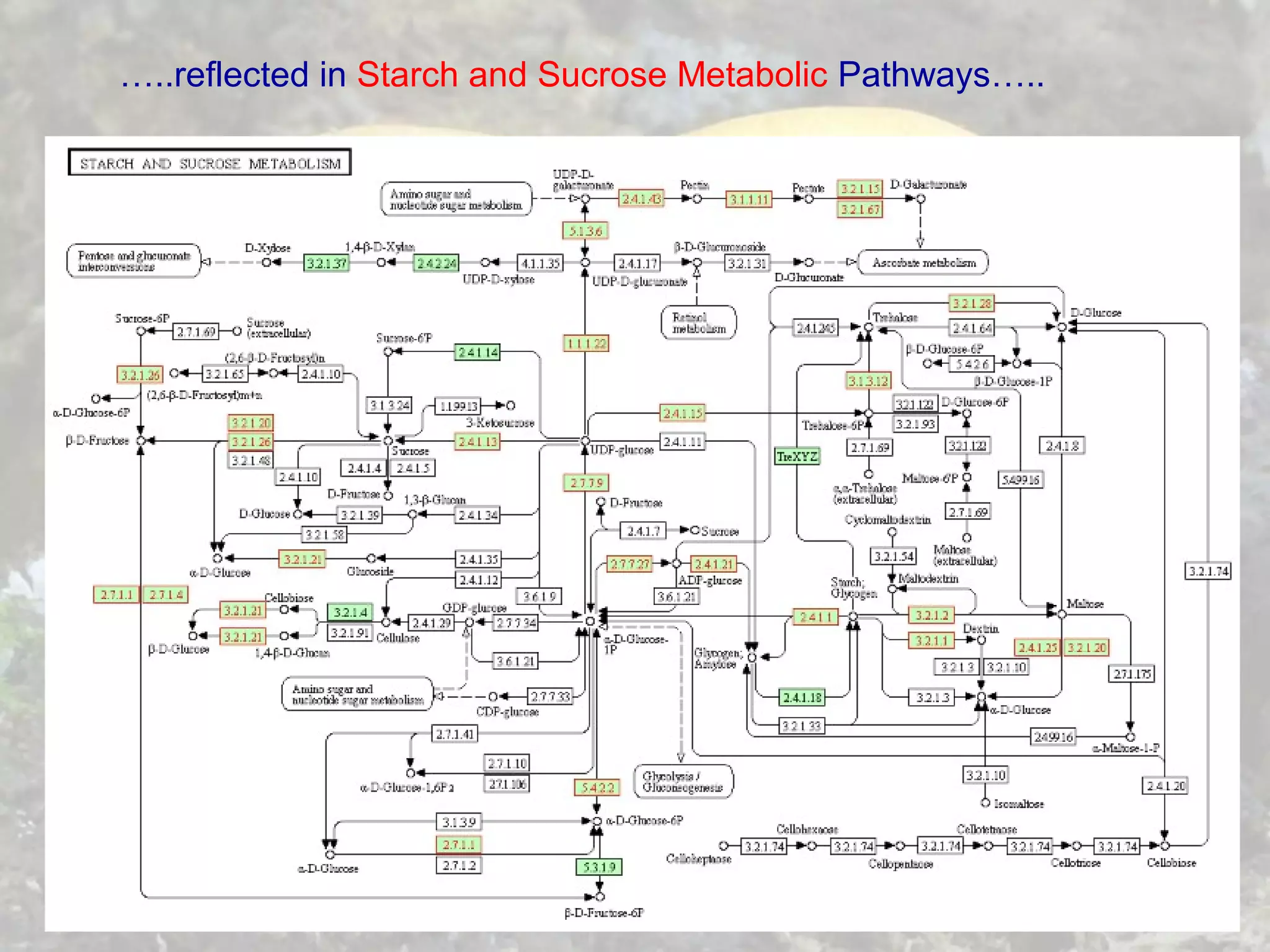 Metabolic Pathways & Phyto-patho Interactions: Clues to Targets for ...