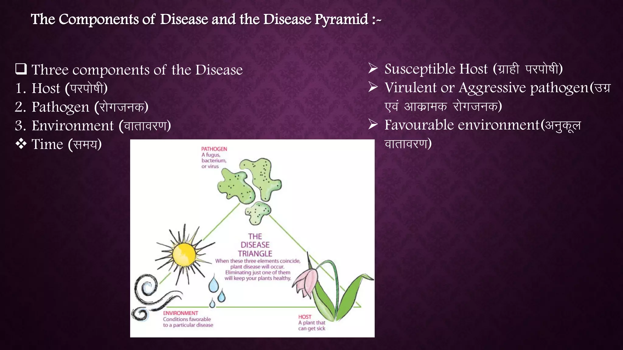 Phytopathology ( Factors for disease development and Symptoms of ...