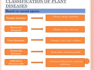 PHYTOPATHOLOGY ppt different types of diseases and there effect | PPTX