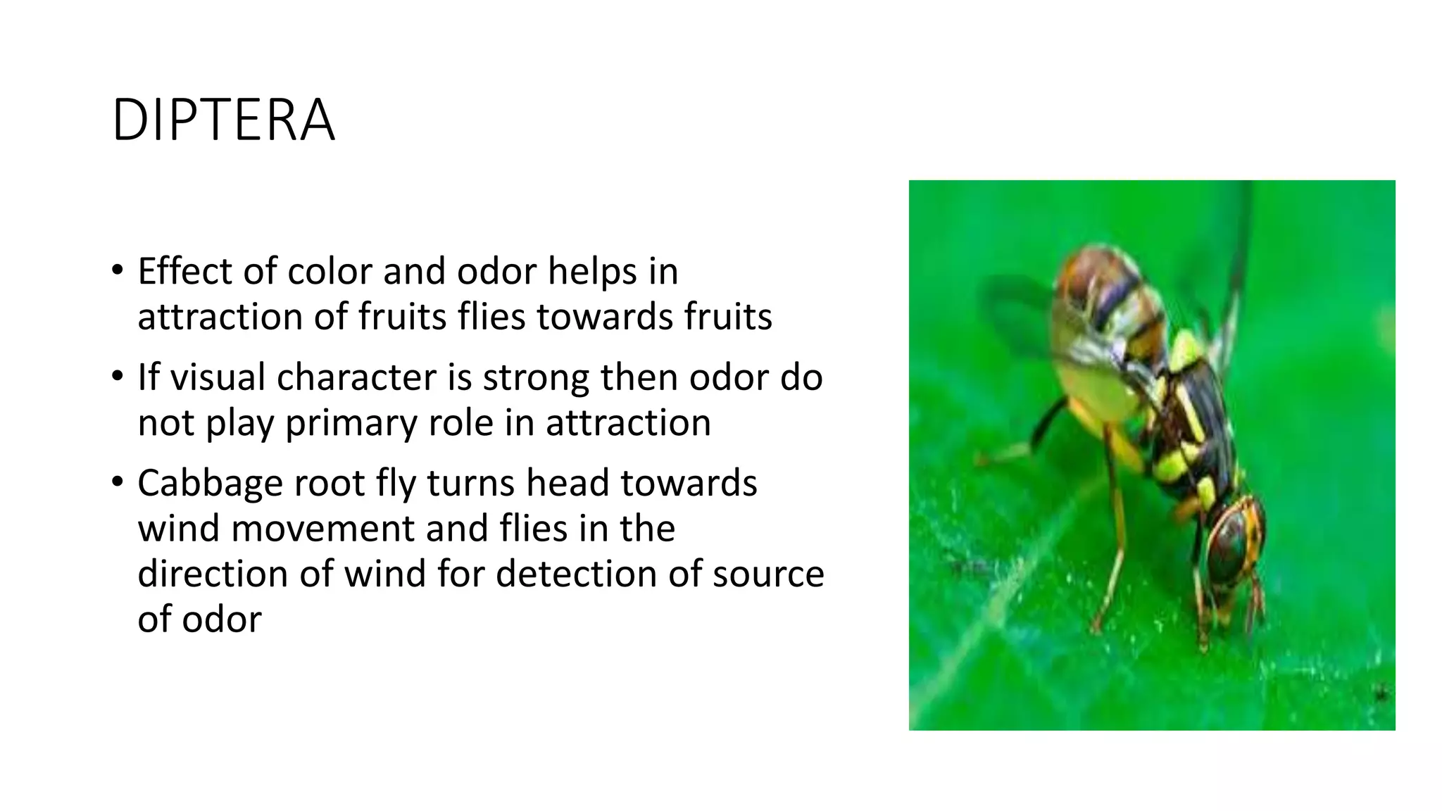 Phytophagous insect and their host finding mechanism | PPTX