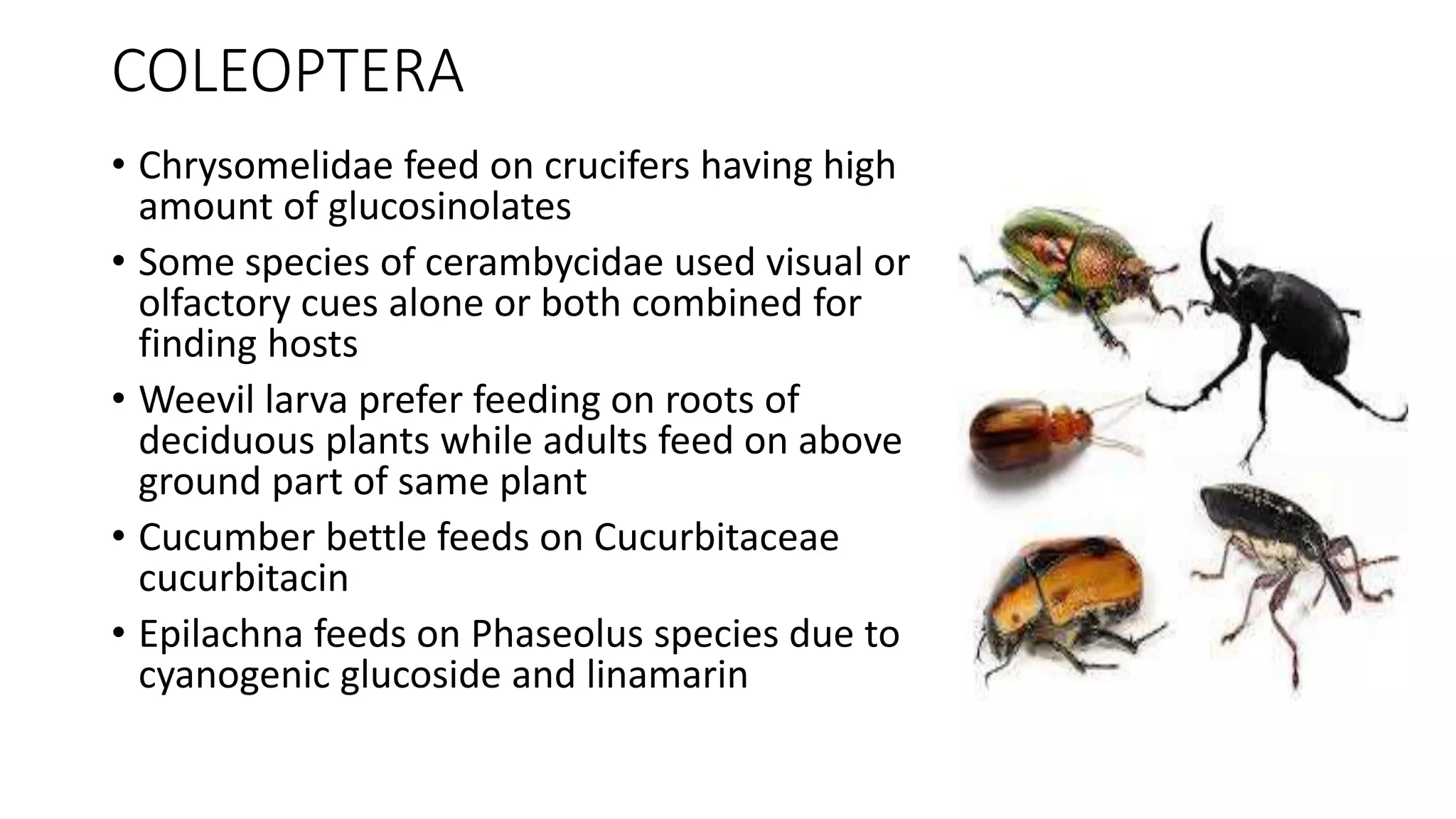 Phytophagous insect and their host finding mechanism | PPTX