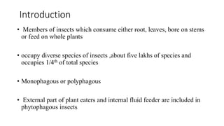 Phytophagous insect and their host finding mechanism | PPTX