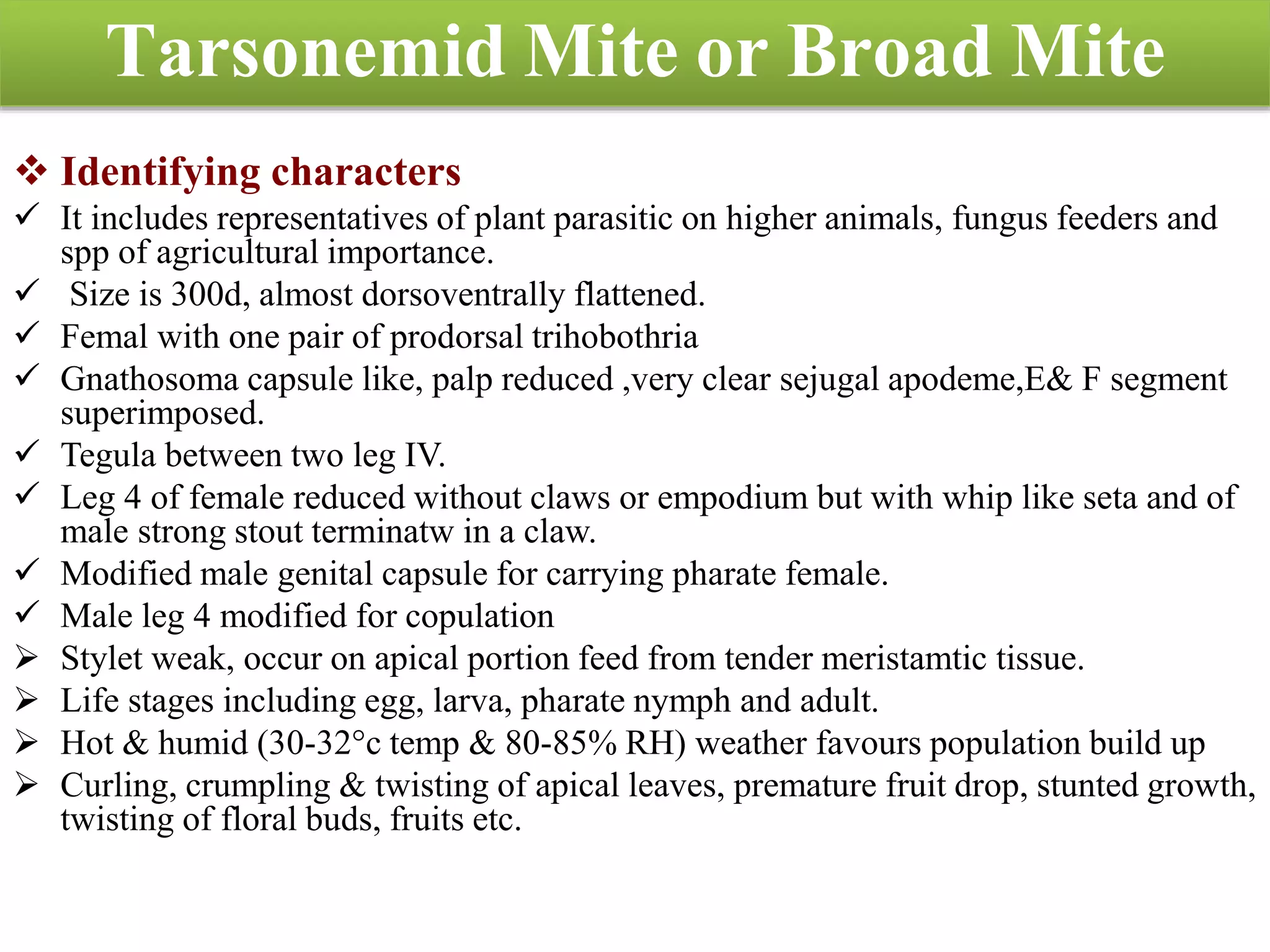 PHYTOPHAGOUS MITES AND BENEFICIAL MITES OF AGROECOSYSTEM.pptx