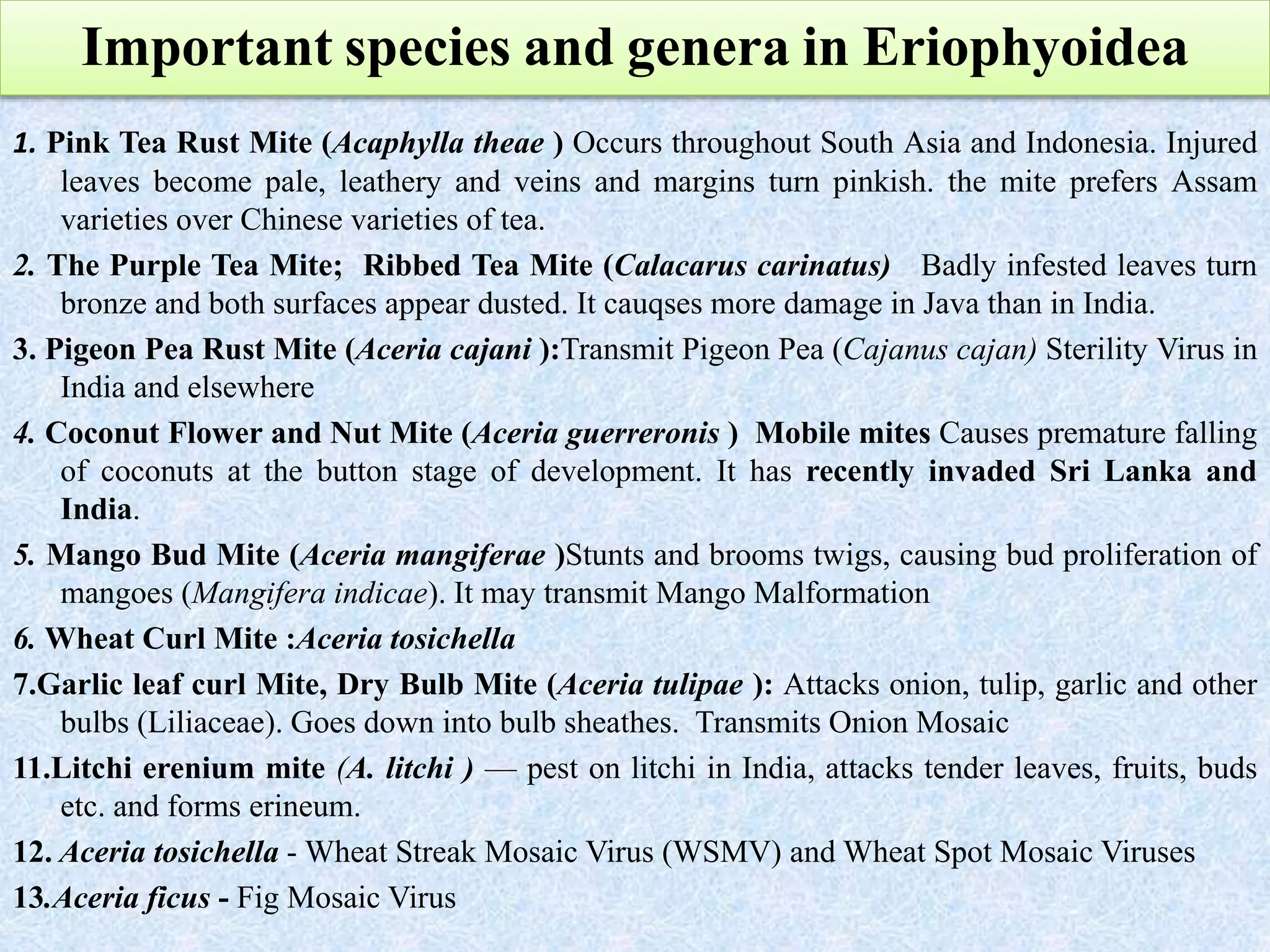 PHYTOPHAGOUS MITES AND BENEFICIAL MITES OF AGROECOSYSTEM.pptx