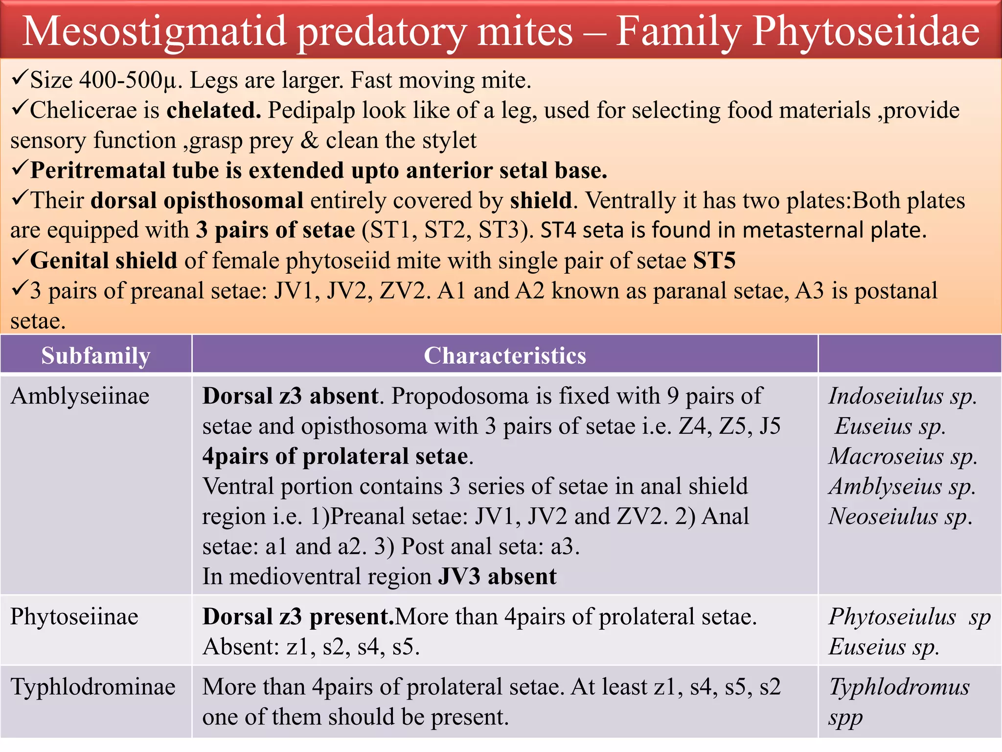 PHYTOPHAGOUS MITES AND BENEFICIAL MITES OF AGROECOSYSTEM.pptx