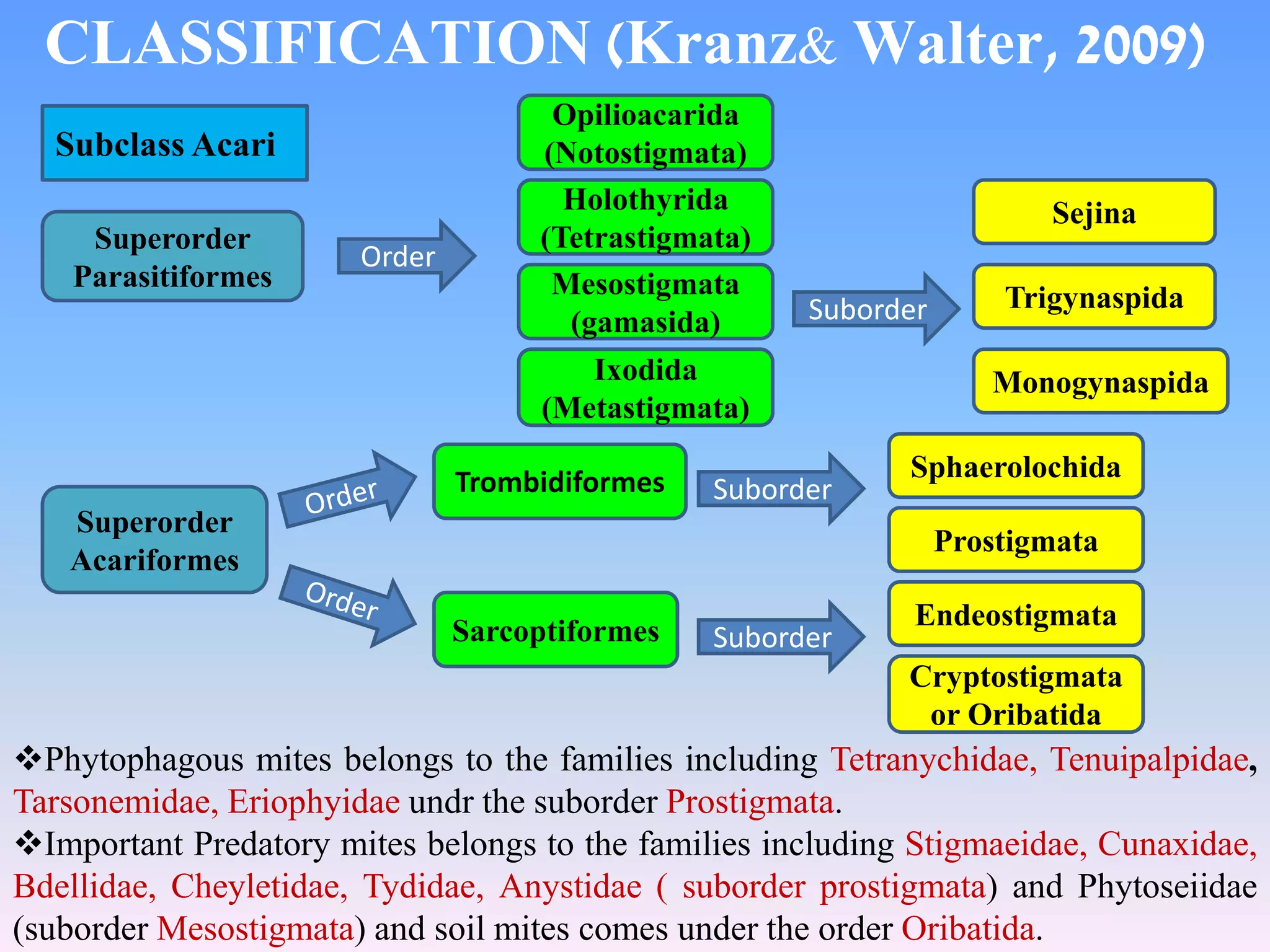 PHYTOPHAGOUS MITES AND BENEFICIAL MITES OF AGROECOSYSTEM.pptx