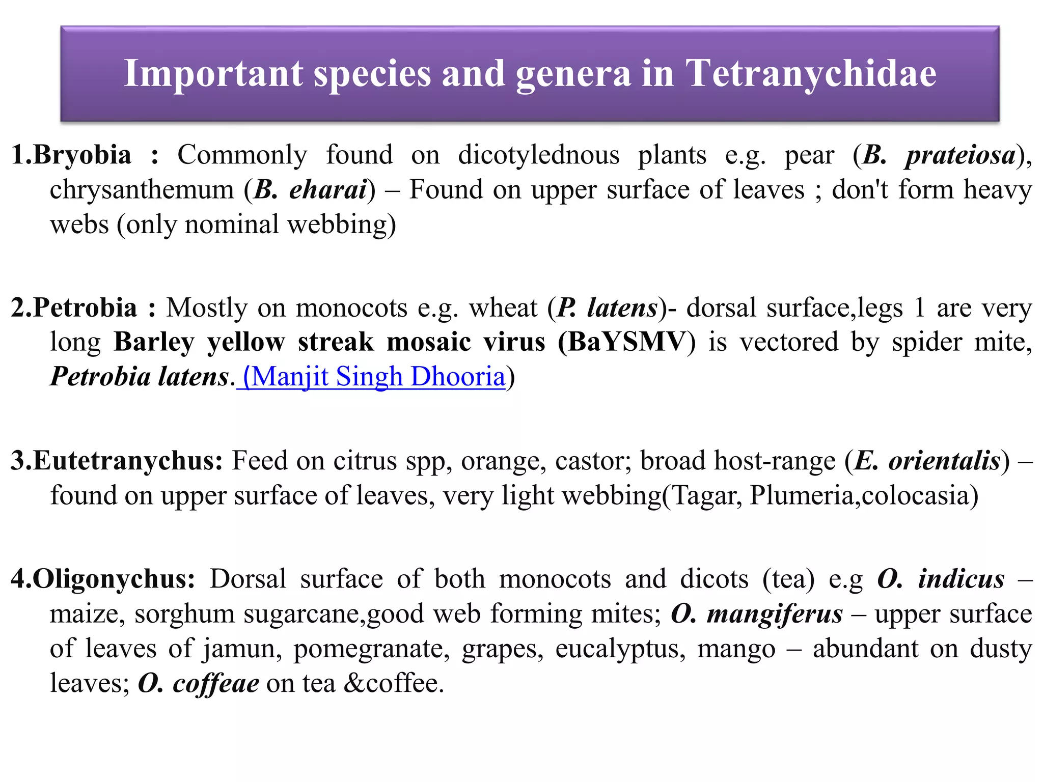 PHYTOPHAGOUS MITES AND BENEFICIAL MITES OF AGROECOSYSTEM.pptx