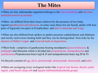 PHYTOPHAGOUS MITES AND BENEFICIAL MITES OF AGROECOSYSTEM.pptx