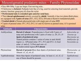 PHYTOPHAGOUS MITES AND BENEFICIAL MITES OF AGROECOSYSTEM.pptx