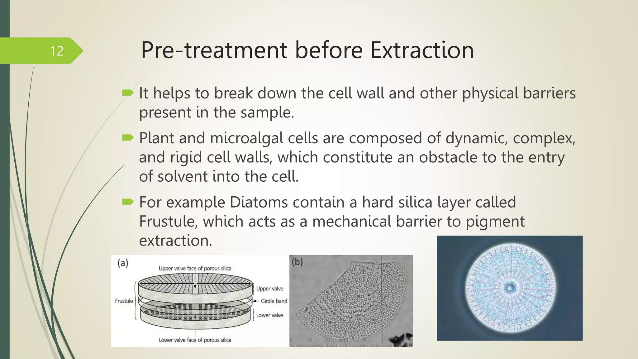 Phytopharmaceuticals- Durgashree Diwakar | PPTX