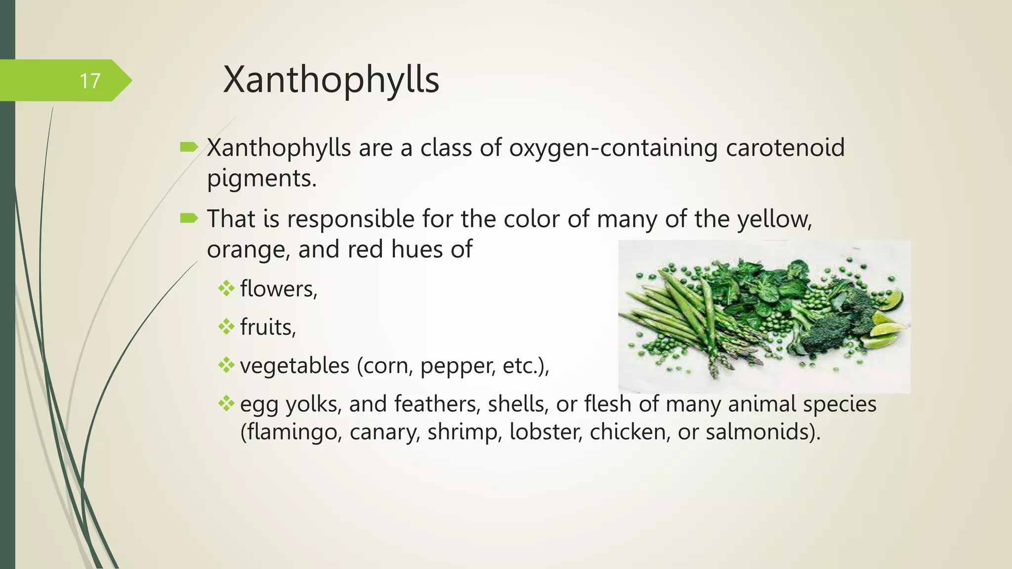 Phytopharmaceuticals- Durgashree Diwakar | PPTX