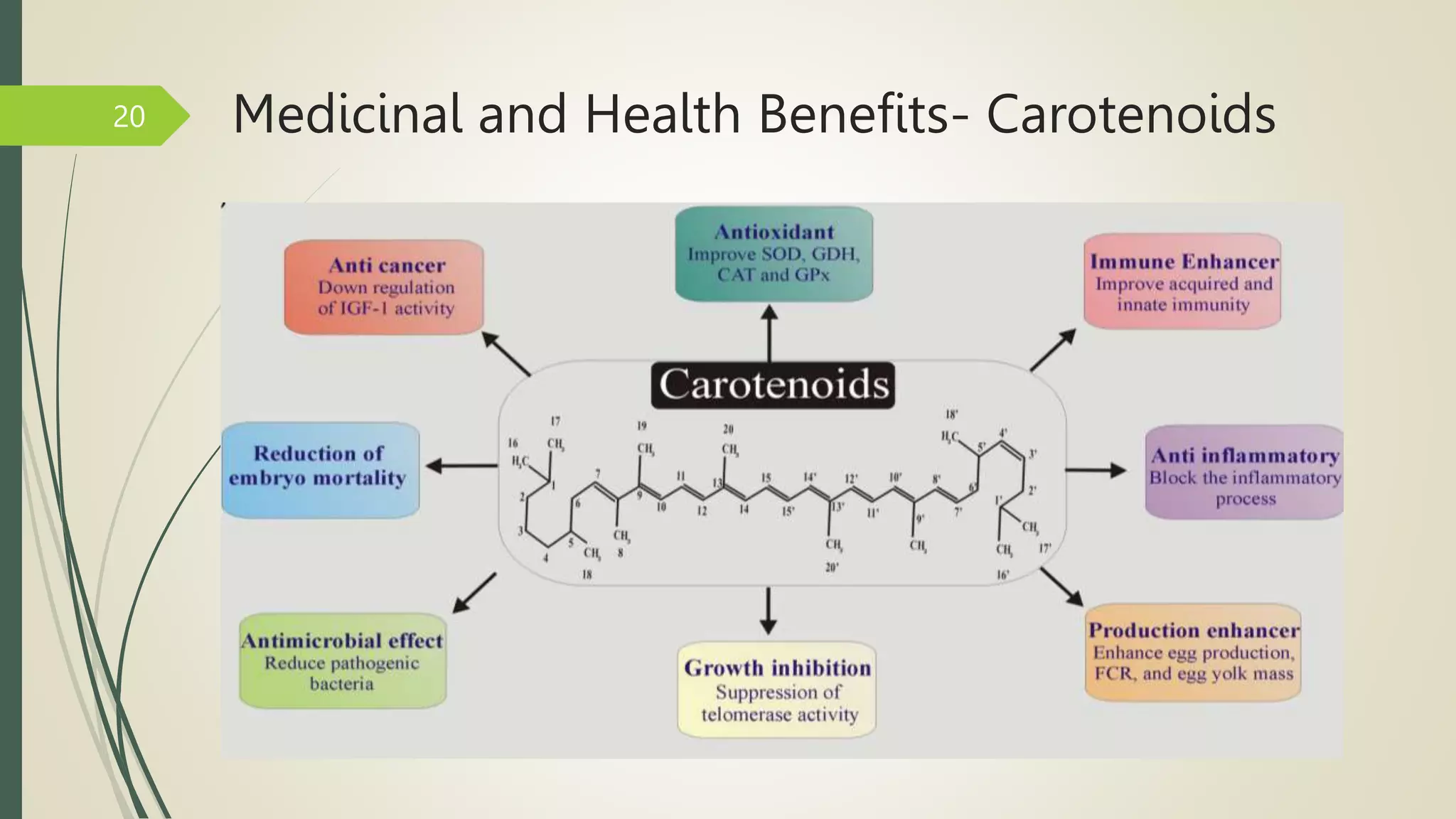 Phytopharmaceuticals- Durgashree Diwakar | PPTX | Nutrition | Healthy Living