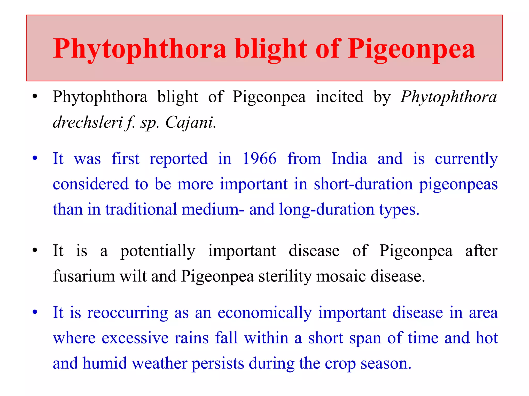 Phytophthora Blight of Pigeonpea-1.pptx