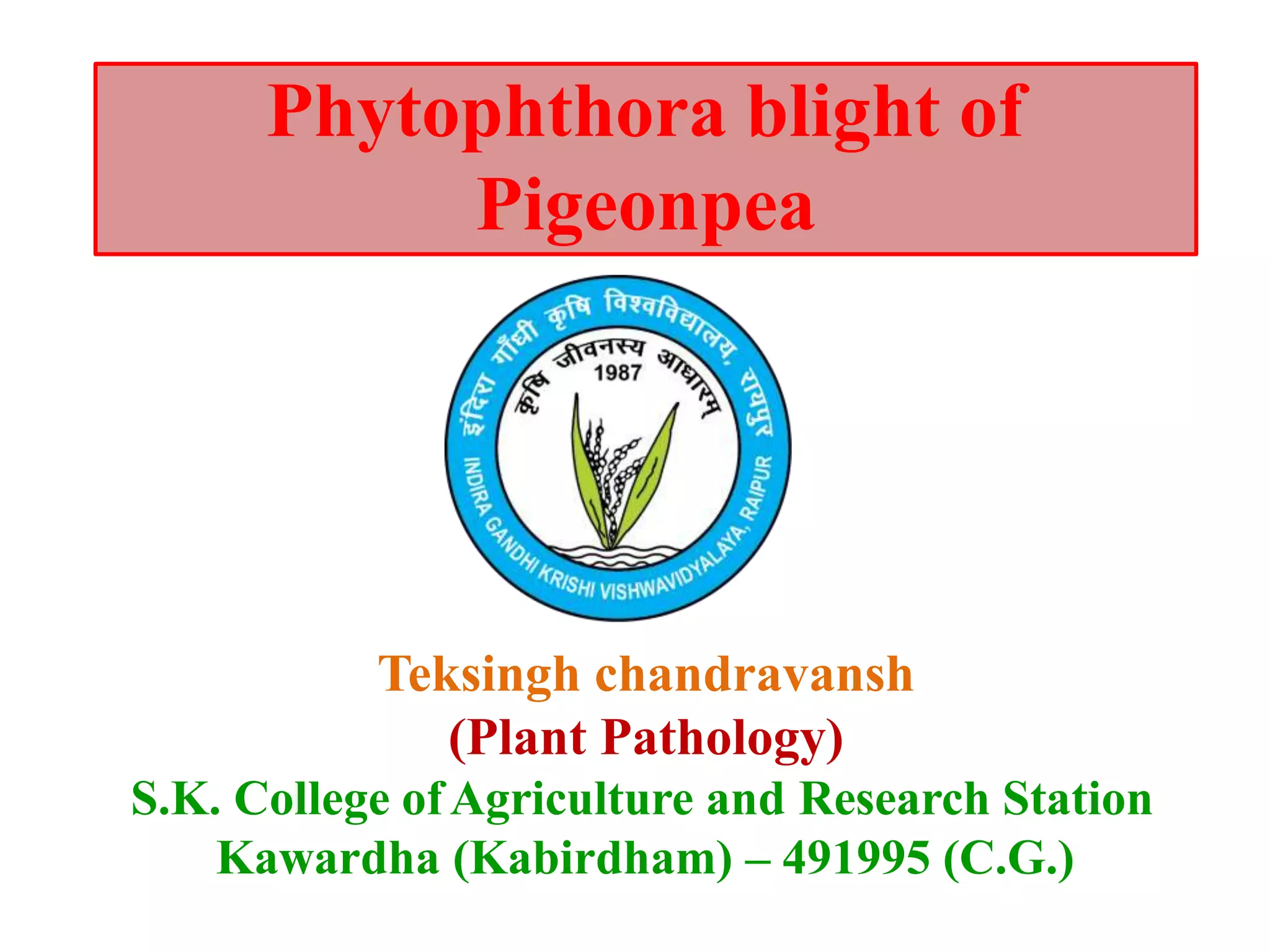 Phytophthora Blight of Pigeonpea-1.pptx