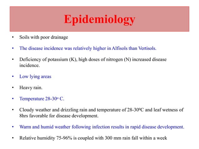 Phytophthora Blight of Pigeonpea-1.pptx