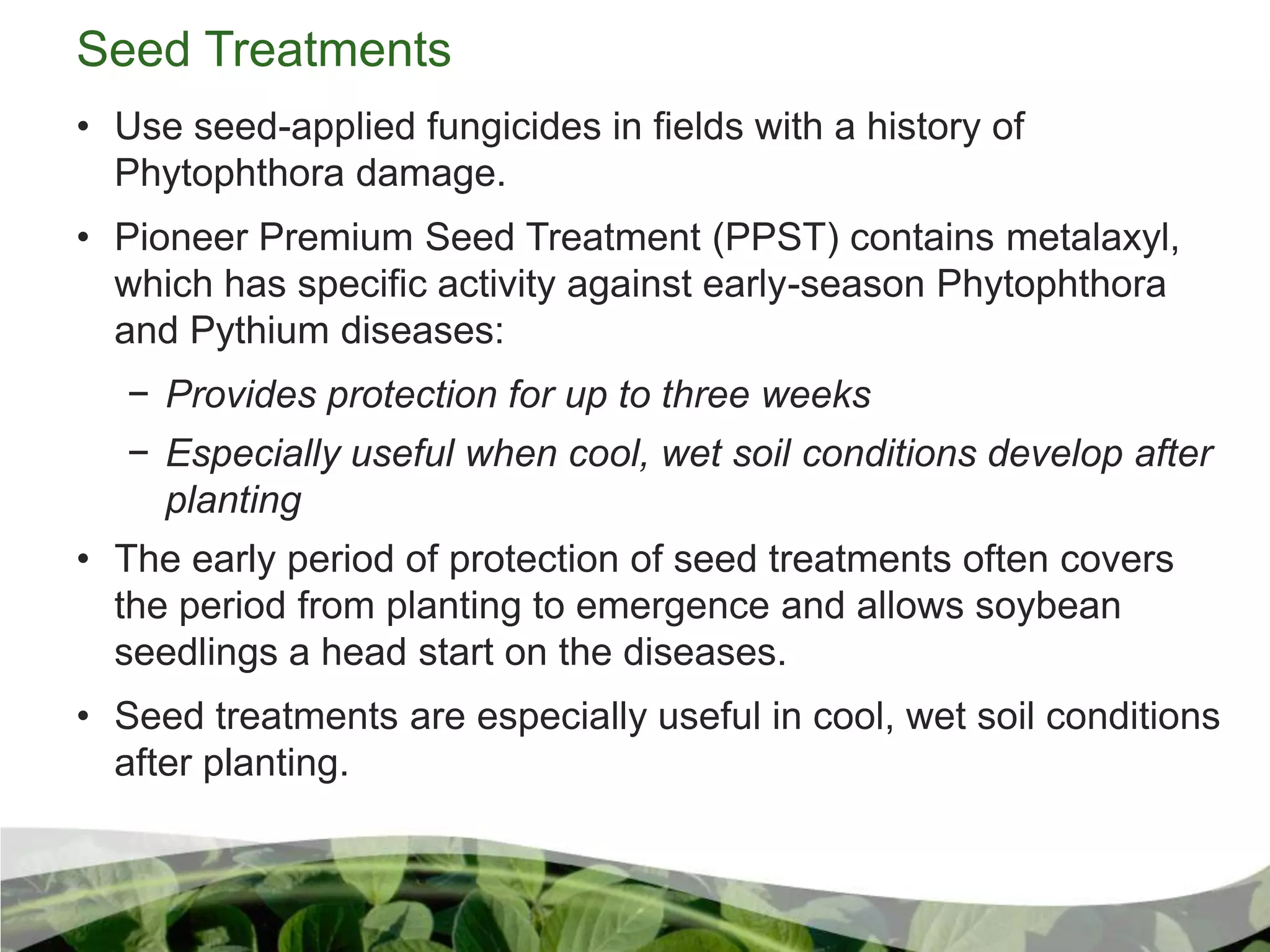 Managing Phytophthora Root & Stem Rot of Soybeans | PPTX
