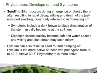 Managing Phytophthora Root & Stem Rot of Soybeans | PPTX