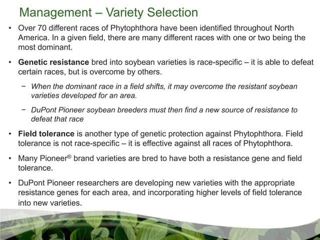 Managing Phytophthora Root & Stem Rot of Soybeans | PPTX
