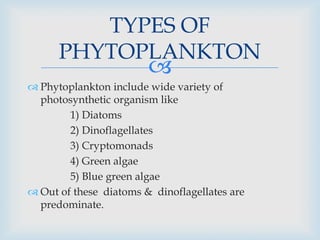 Phytoplankton | PPTX