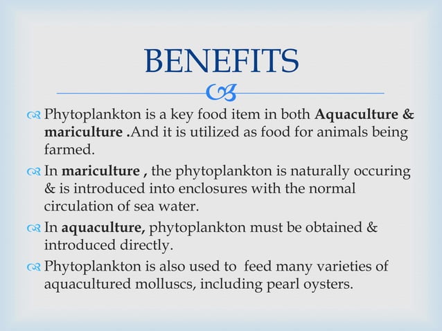 Phytoplankton | PPTX