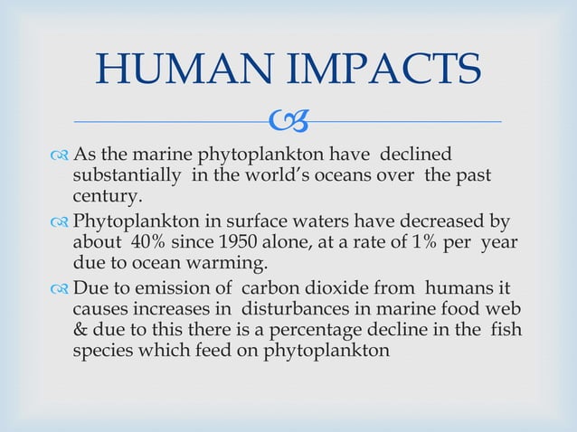 Phytoplankton | PPTX