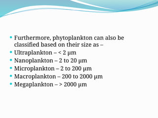 phytoplankton carbon absorbed 60 percent | PPT