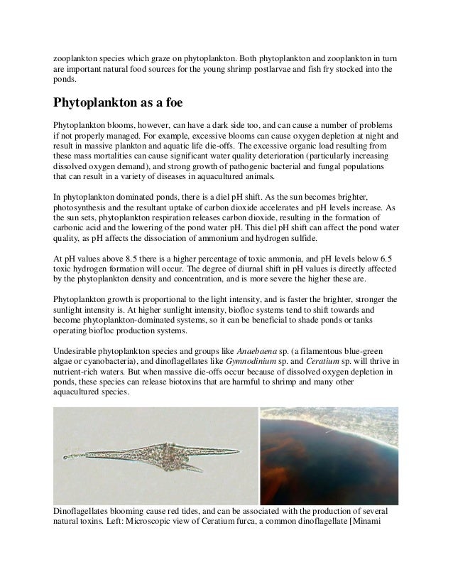 Phytoplankton In Aquaculture Ponds Friends Or Foes
