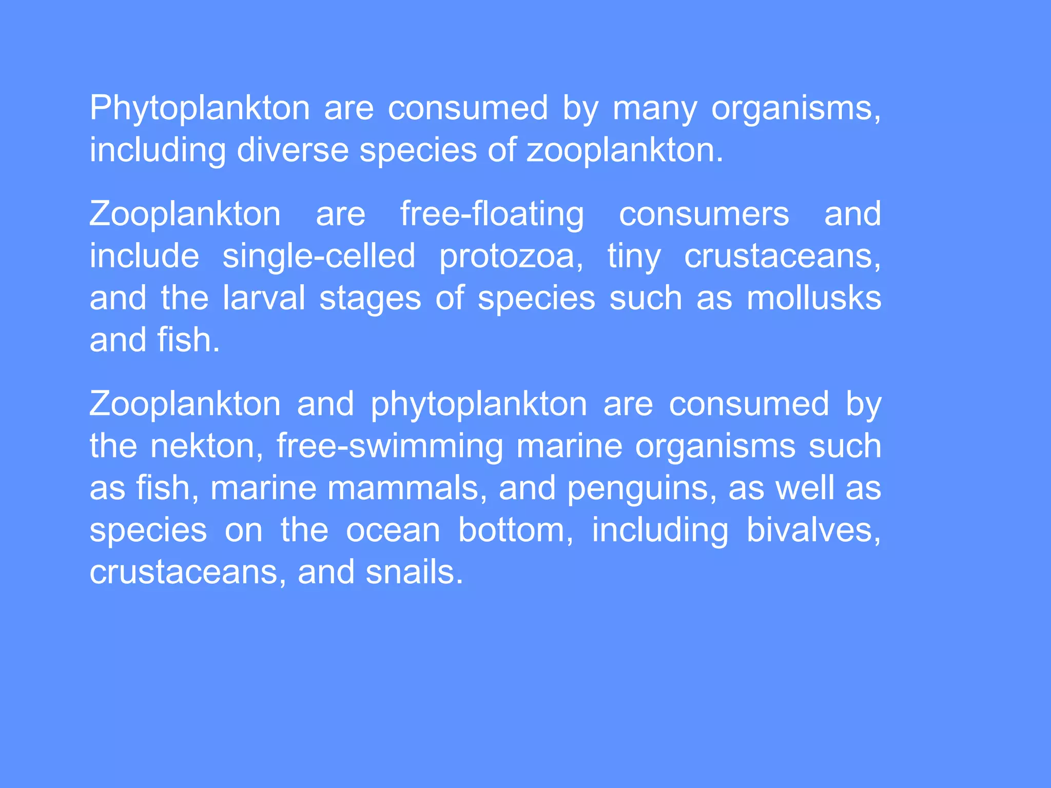 Phytoplankton,zoooplankton,benthos,fish relationship | PPT