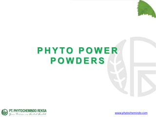 Phyto Power Powders by Phytochemindo | PPT