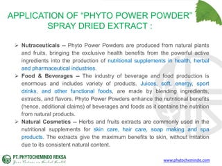 Phyto Power Powders by Phytochemindo | PPT
