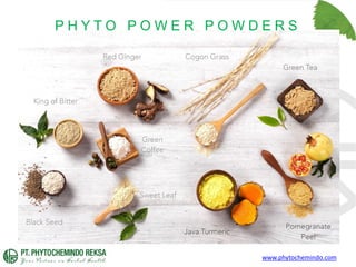 Phyto Power Powders by Phytochemindo | PPT