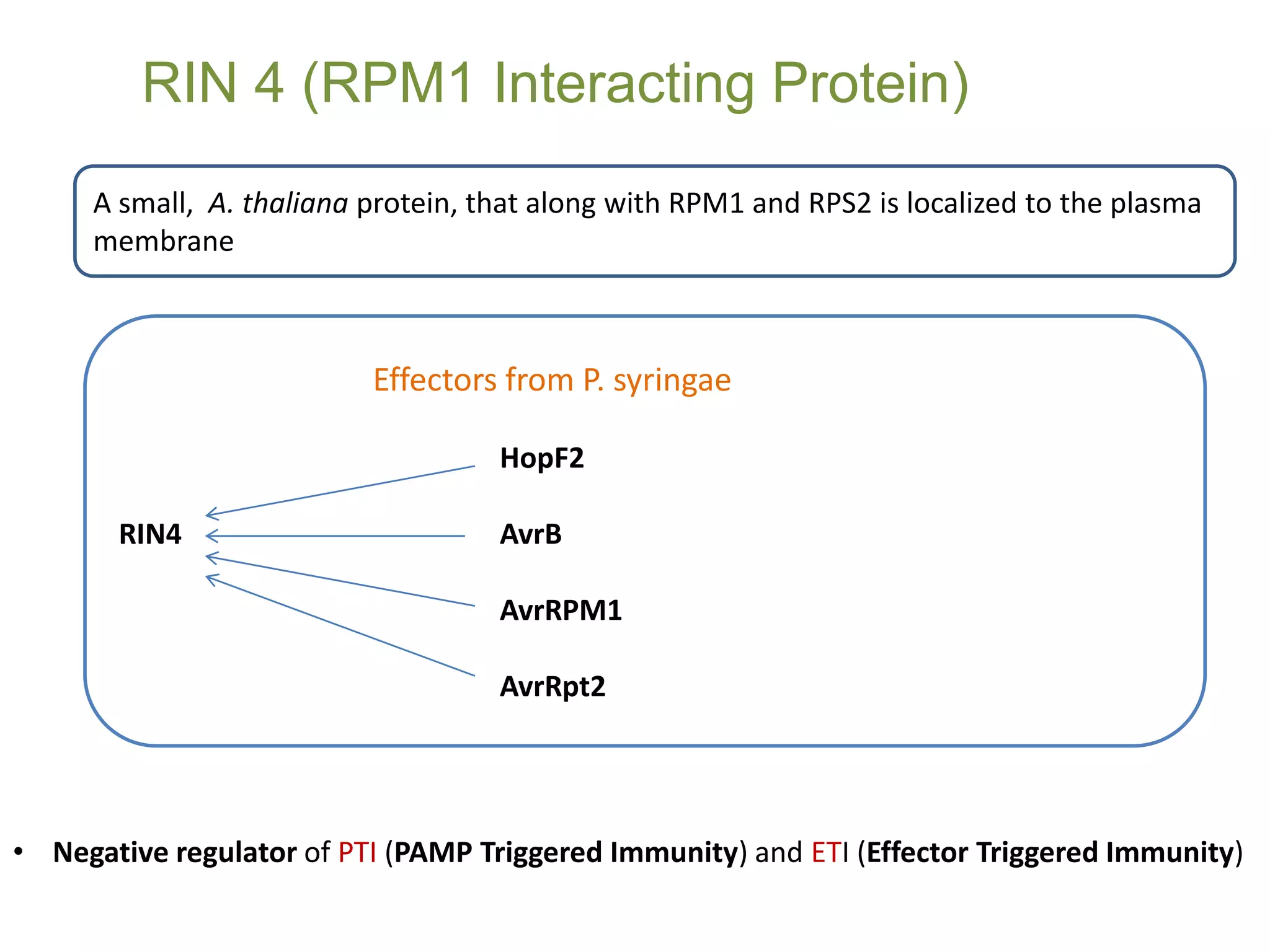 RIN 4 (RPM1 Interacting Protein) | PPTX