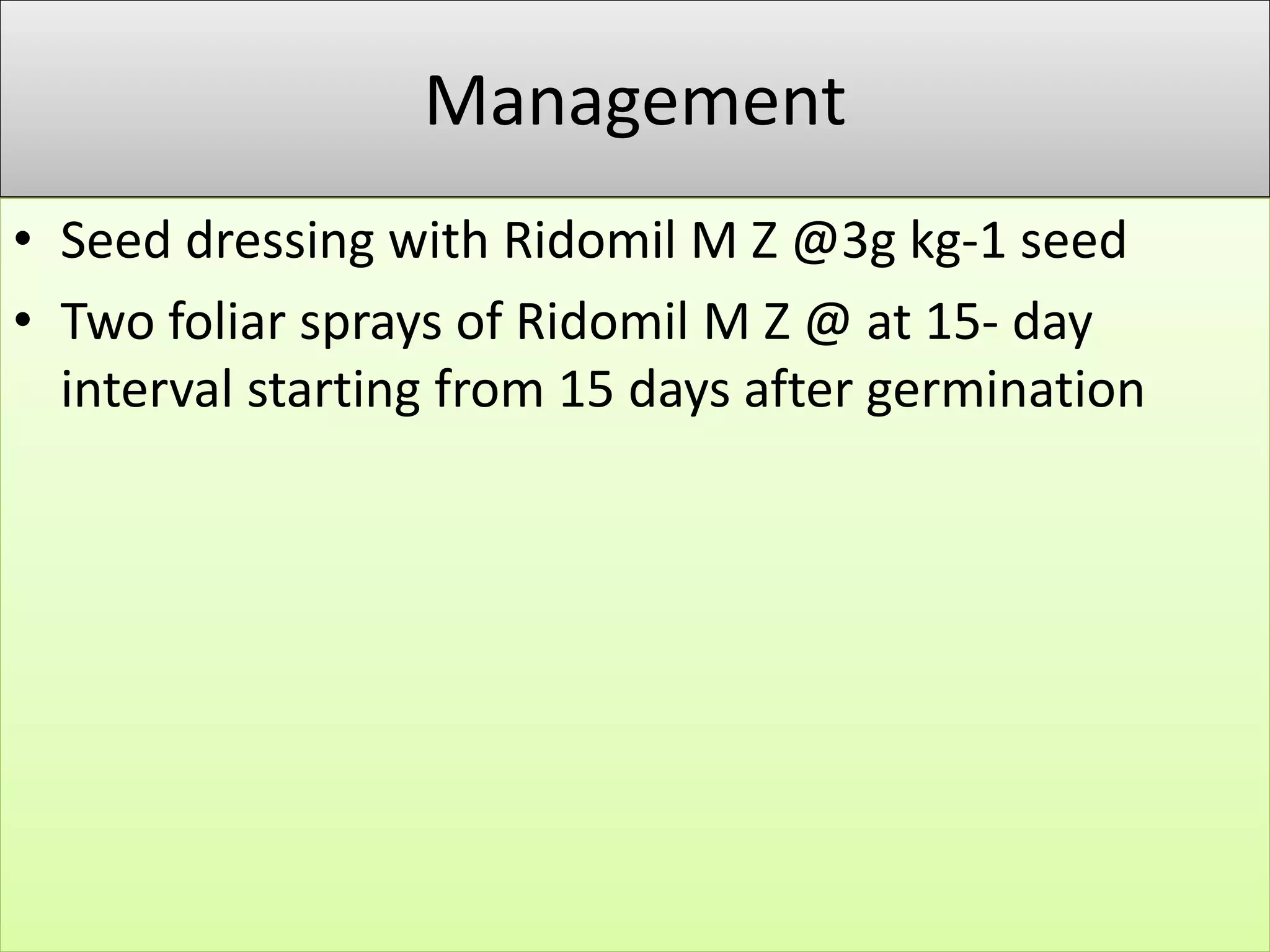 Phytopthora blight of pigeon pea | PPTX