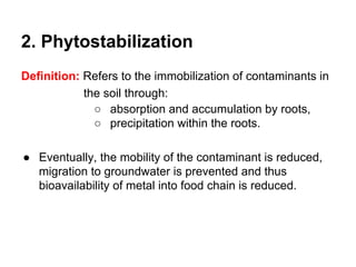 Phytostabilization