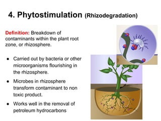 Phytostimulation