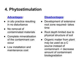 Phytostimulation