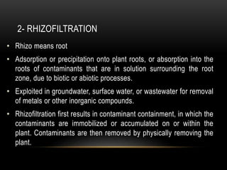 Phytoremediation | PPTX