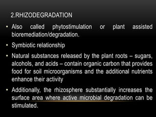 Phytoremediation | PPTX