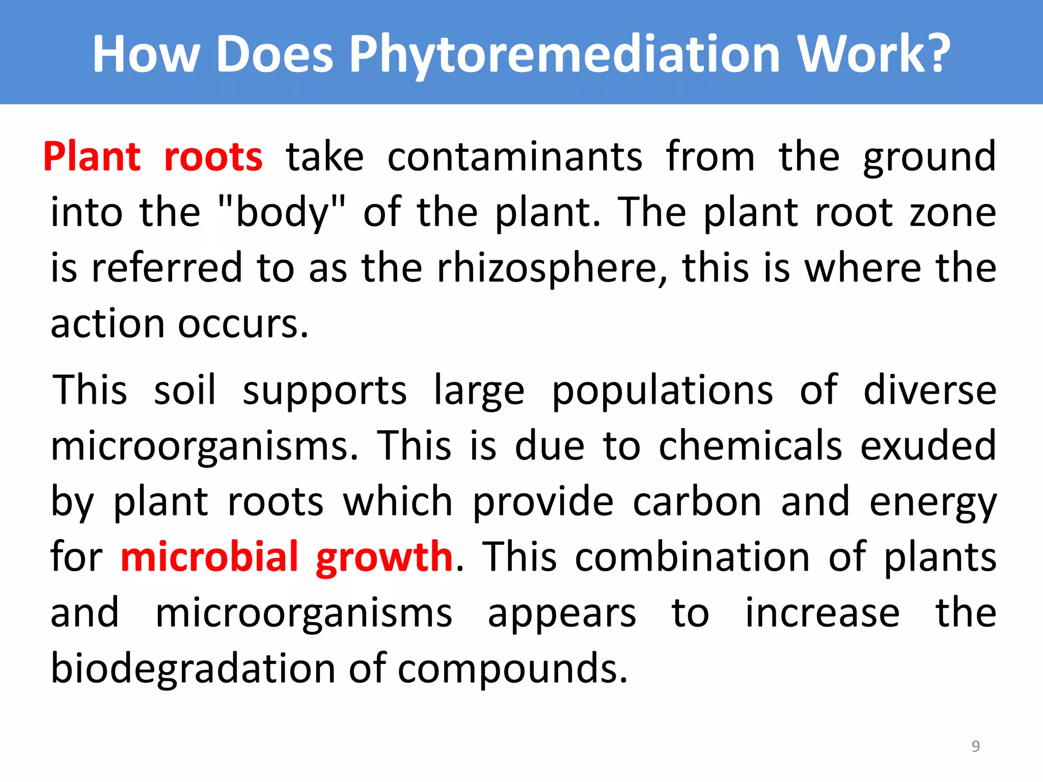 Phytoremediation.ppt
