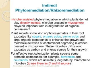 Phytoremediation | PPT