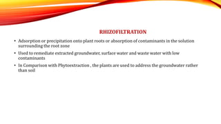 Phytoremediation | PPTX