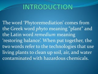 Phytoremediation | PPTX | Environmental Services Industry | Industries