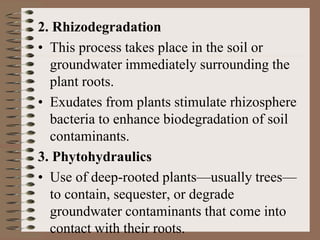 Phytoremediation | PPTX