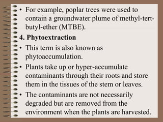 Phytoremediation | PPTX