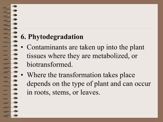 Phytoremediation | PPTX