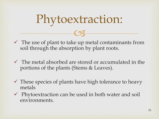 Phytoremediation | PPTX