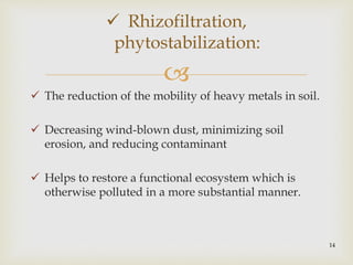 Phytoremediation | PPTX