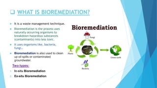 Phytoremediation | PPTX
