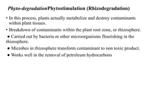 Phytoremediation | PPTX
